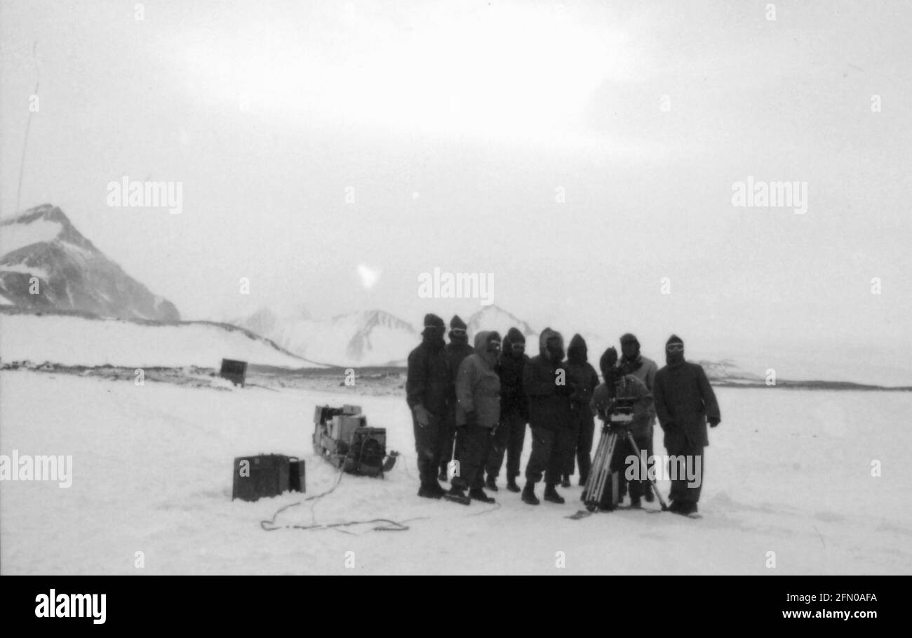 Mr forbush penguins hi-res stock photography and images - Alamy