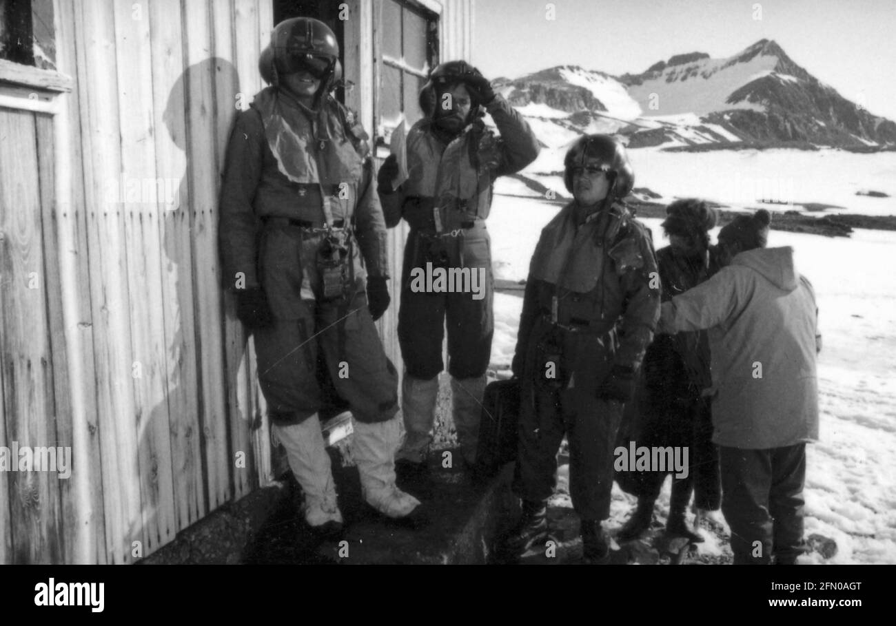 Mr forbush penguins hi-res stock photography and images - Alamy