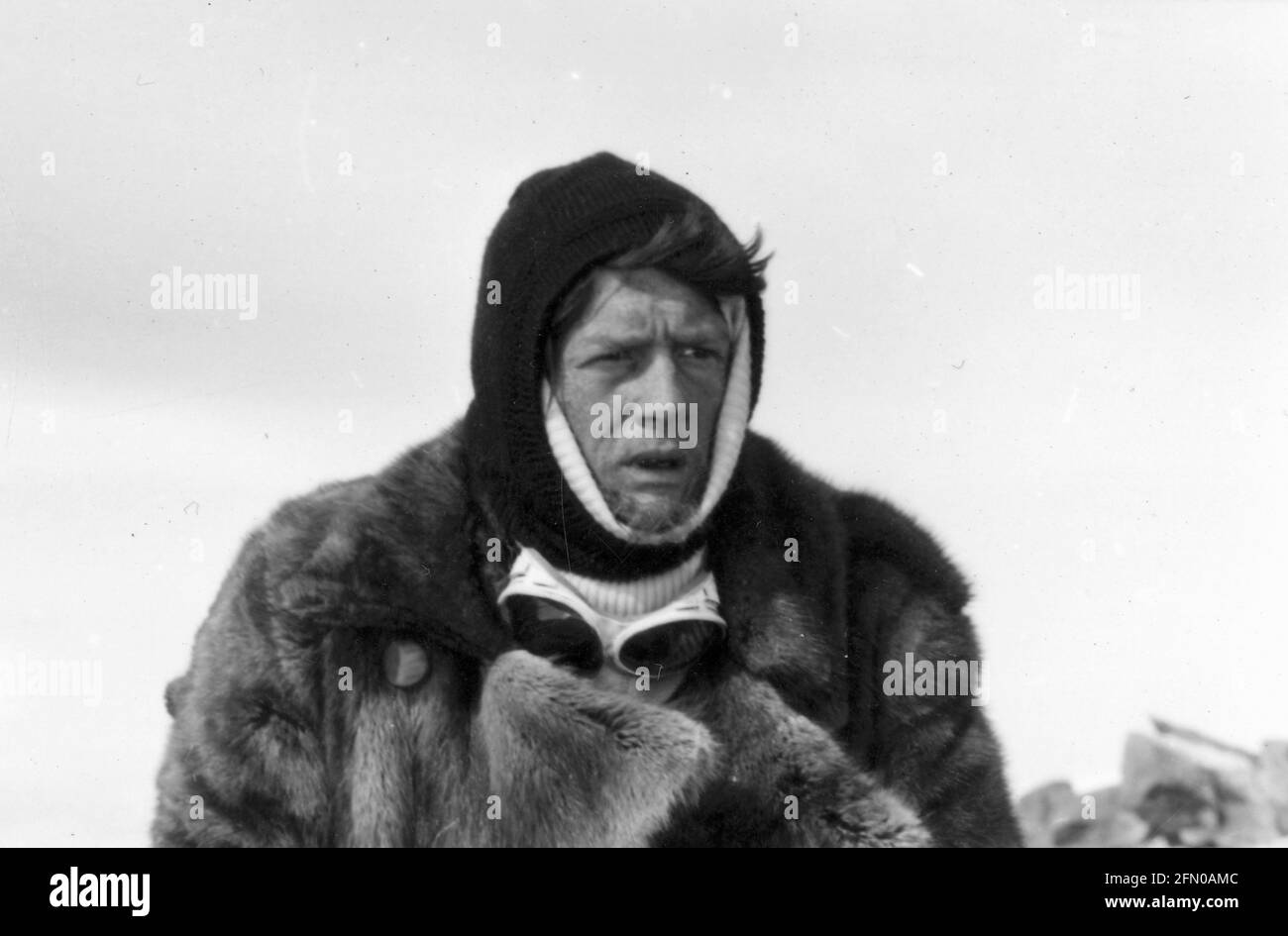 Mr Forbush and the Penguins, 1971 Film Stock Photo - Alamy