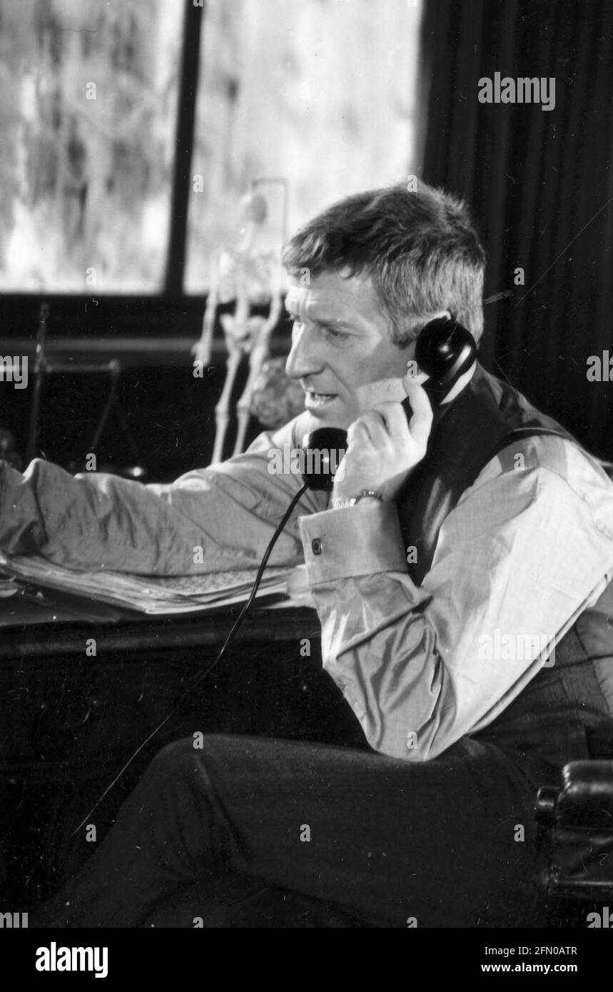 Mr forbush penguins hi-res stock photography and images - Alamy