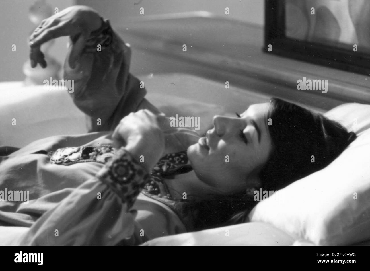 Mr forbush penguins hi-res stock photography and images - Alamy