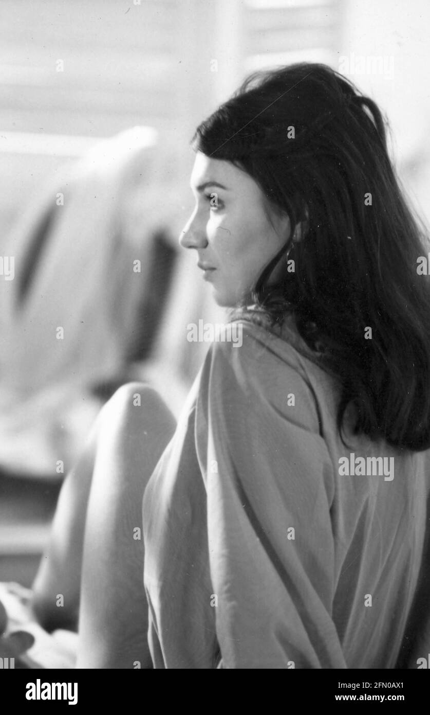 Mr forbush penguins hi-res stock photography and images - Alamy