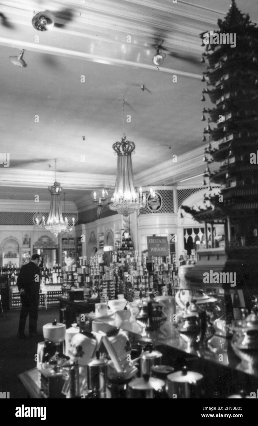 Mr forbush penguins hi-res stock photography and images - Alamy