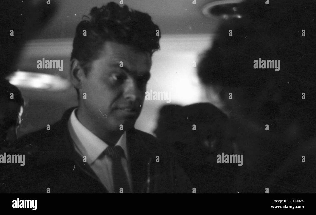 Mr forbush penguins hi-res stock photography and images - Alamy