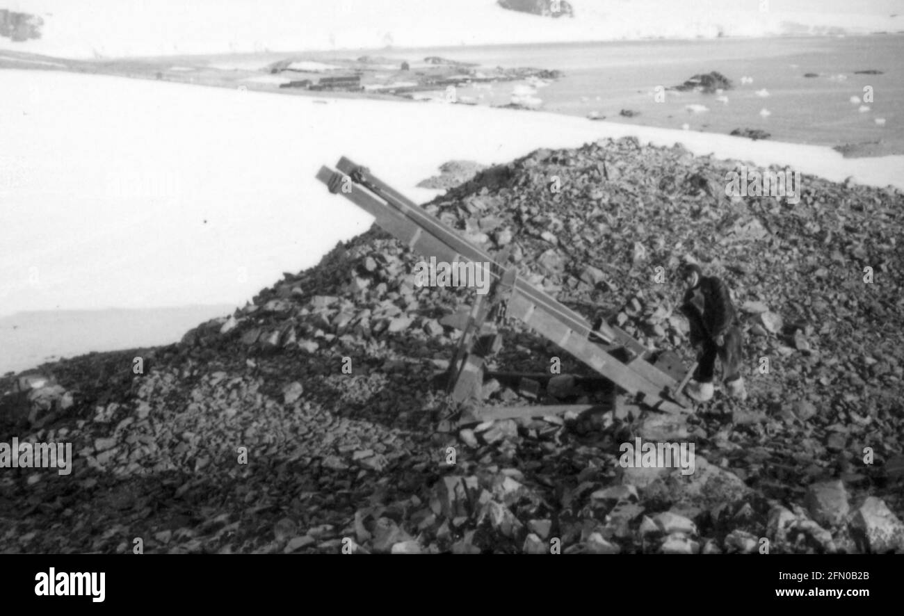 Mr forbush penguins hi-res stock photography and images - Alamy