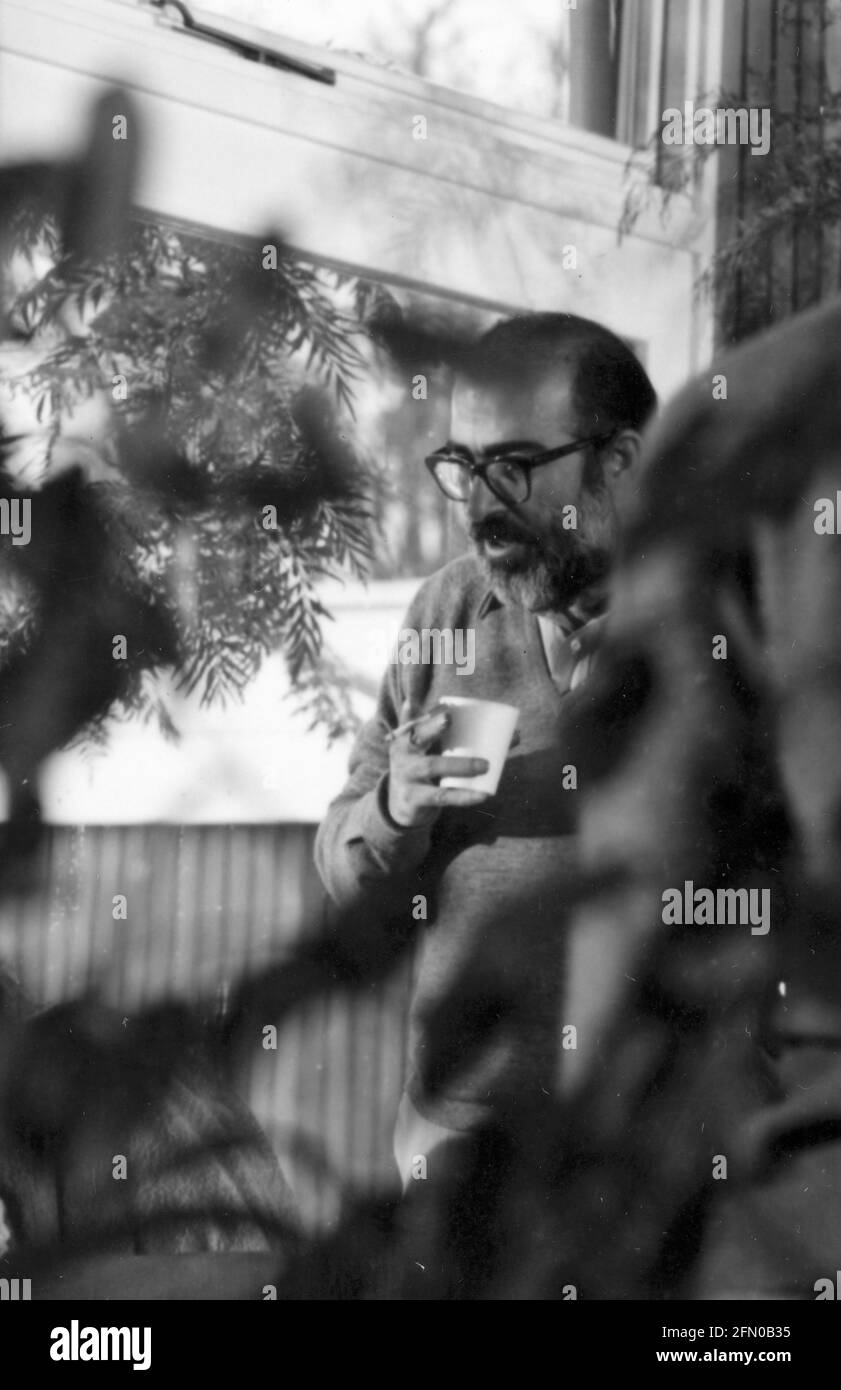 Mr forbush penguins hi-res stock photography and images - Alamy