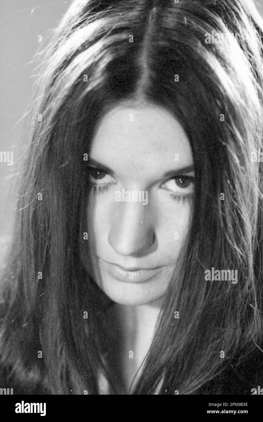 Mr forbush penguins hi-res stock photography and images - Alamy