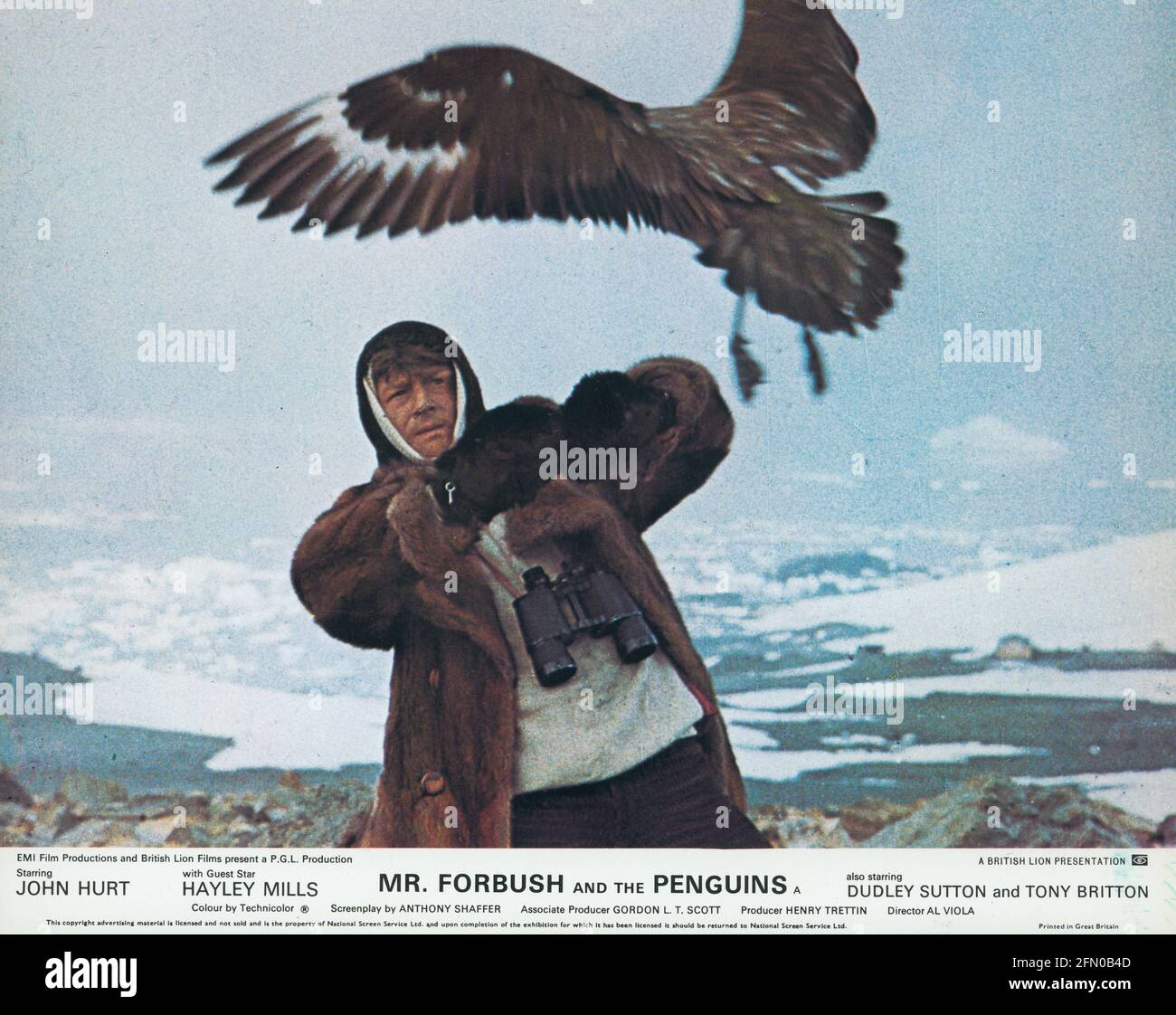Mr Forbush and the Penguins, 1971 Film Stock Photo - Alamy