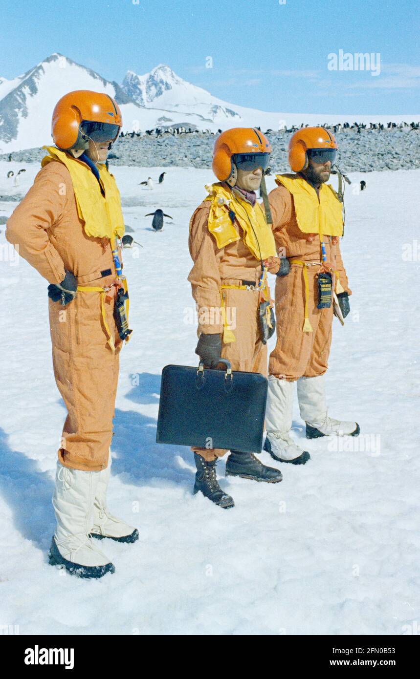 Mr Forbush and the Penguins, 1971, Film Stock Photo - Alamy