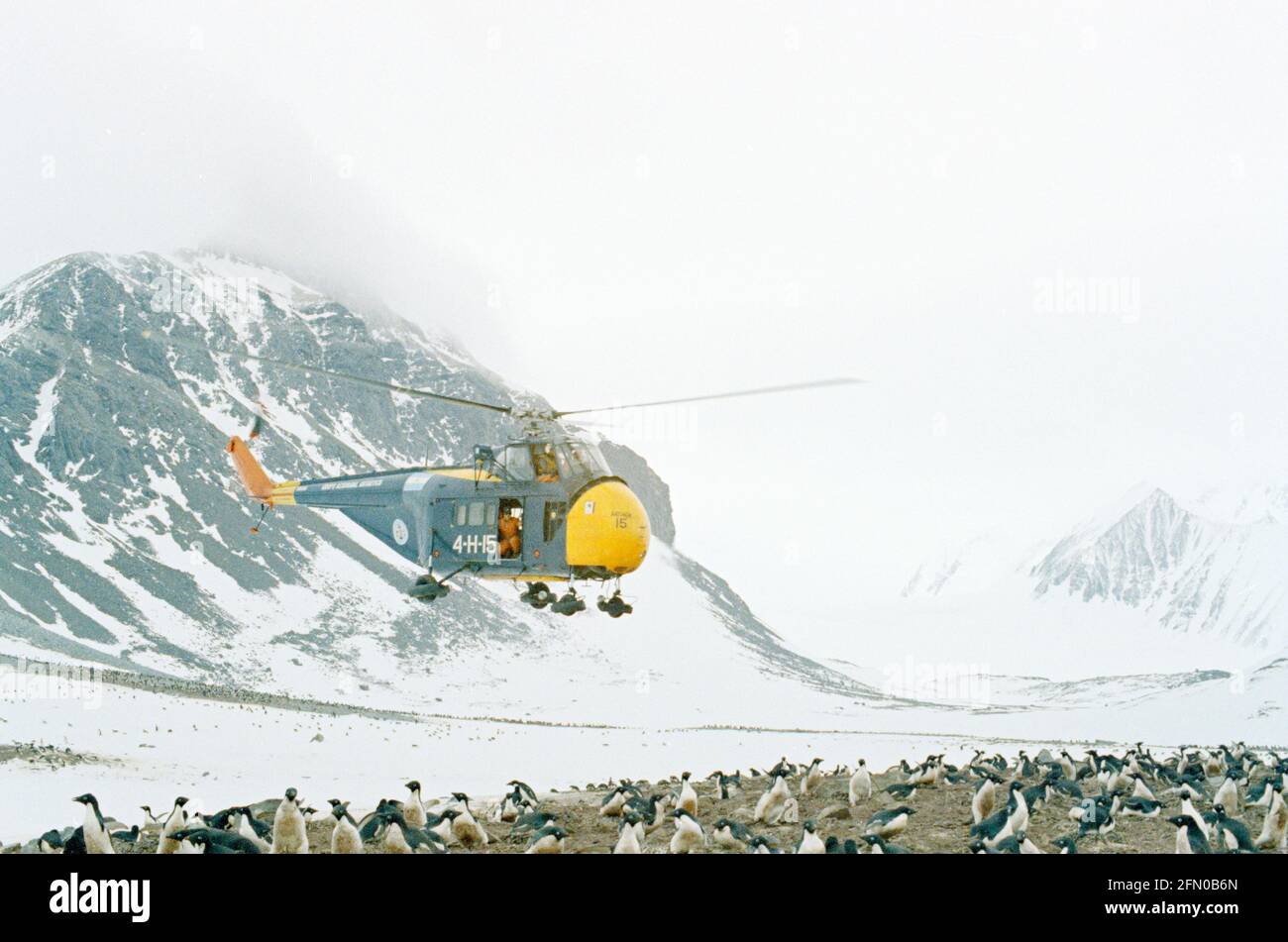 Mr Forbush and the Penguins, 1971, Film Stock Photo - Alamy