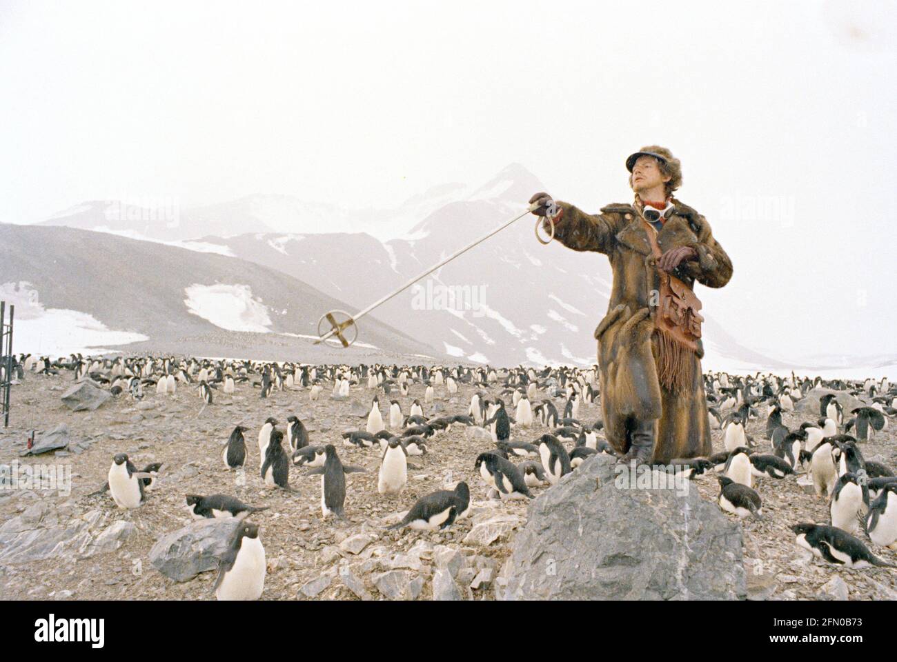 Mr Forbush and the Penguins, 1971, Film Stock Photo - Alamy
