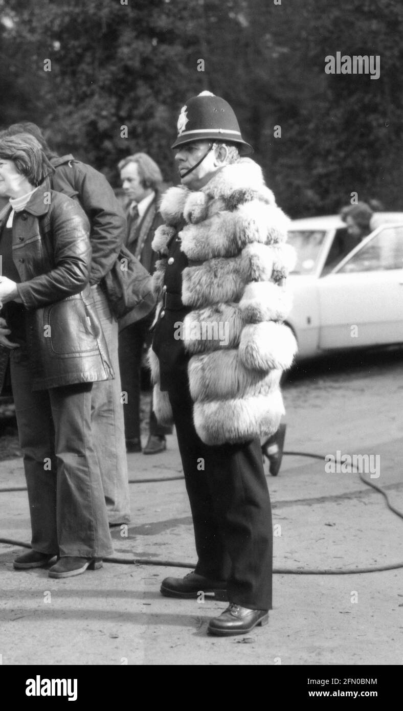Not Now, Comrade, 1976, Film Stock Photo - Alamy
