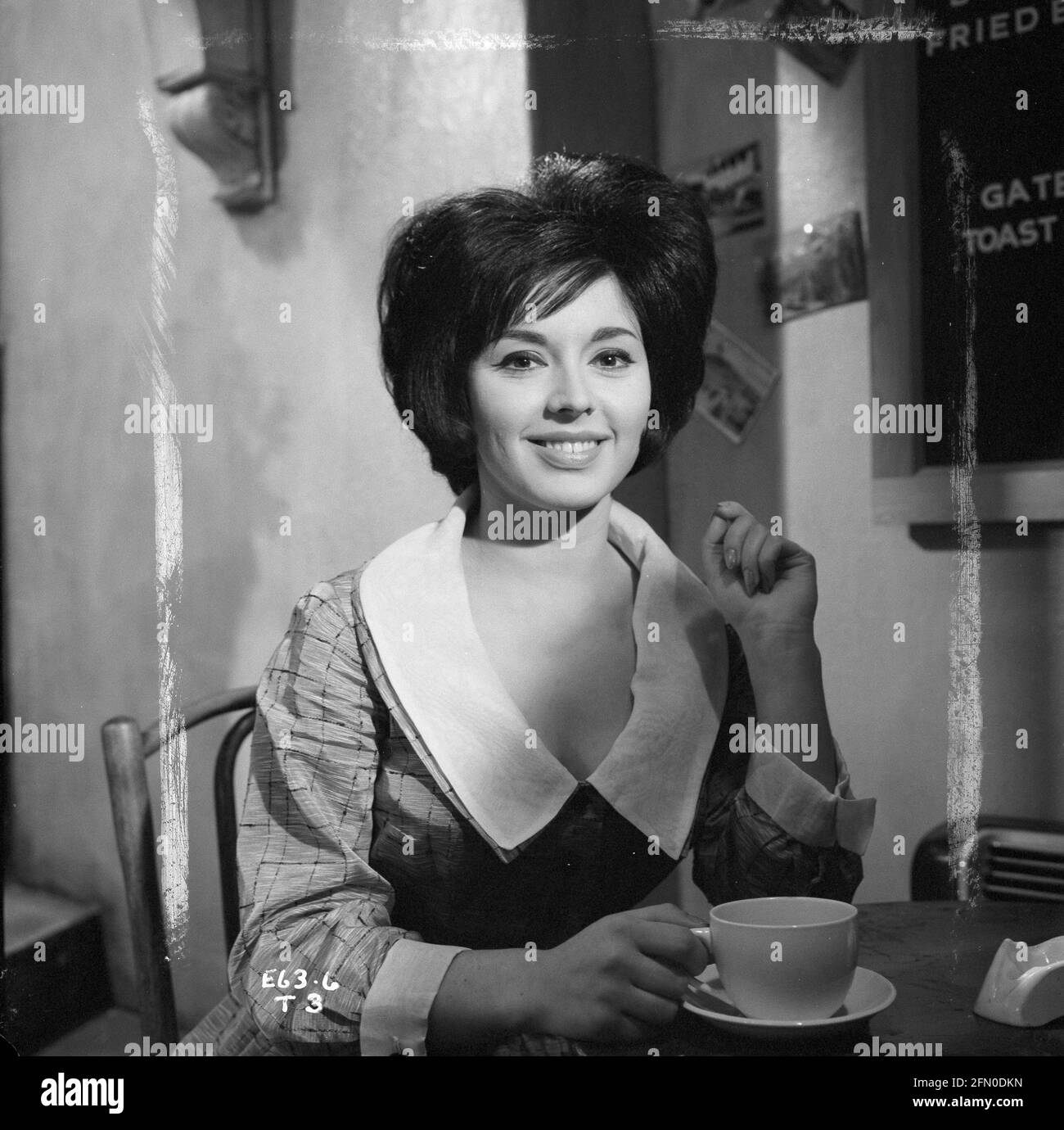 Susan Maughan High Resolution Stock Photography and Images - Alamy