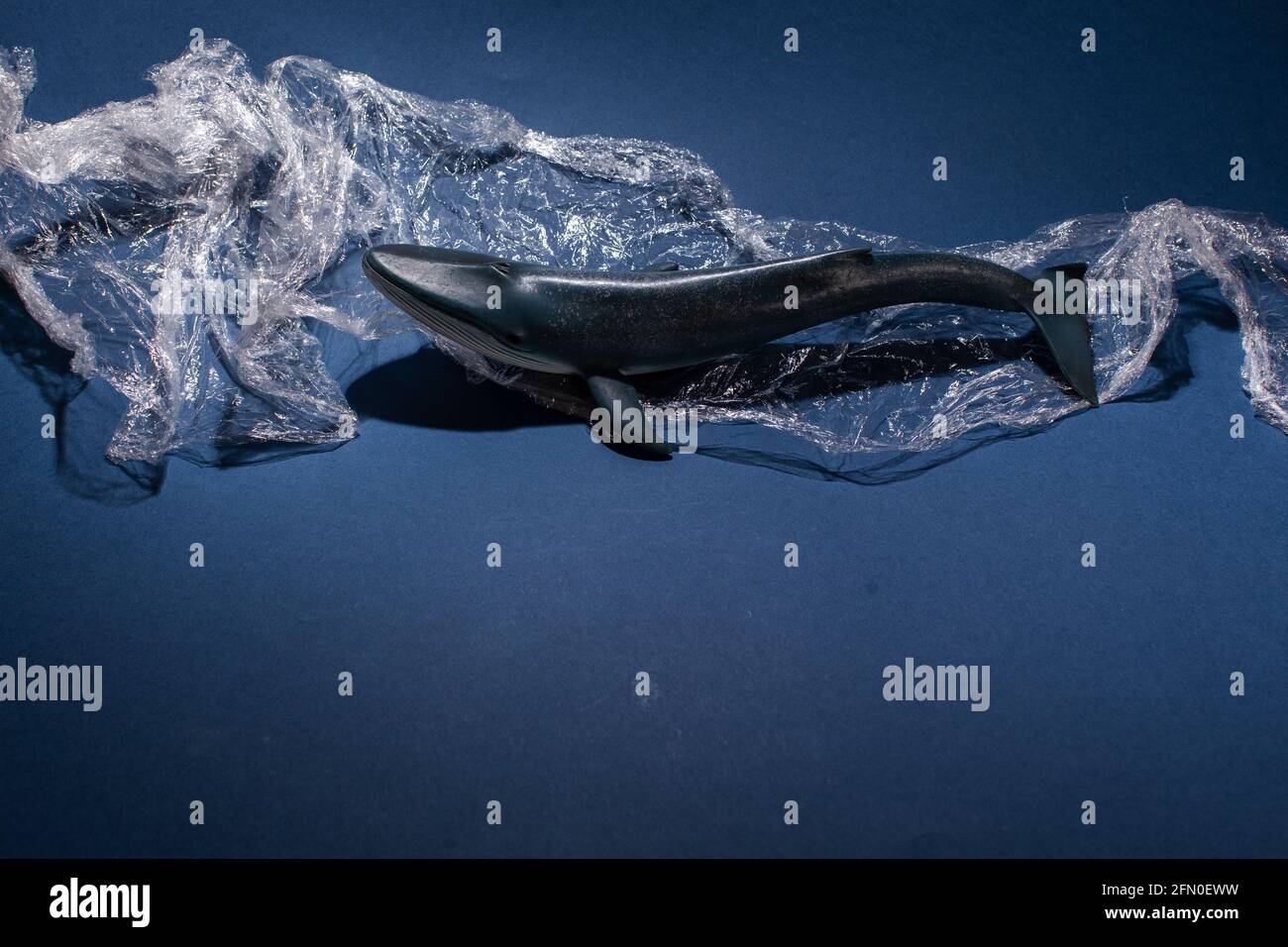 Blue whale Environmental problem of plastic rubbish pollution in ocean ...