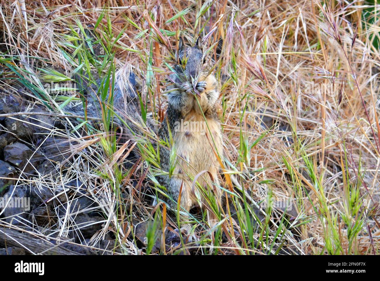 Los Angeles, California, USA 4th May 2021 A general view of atmosphere ...