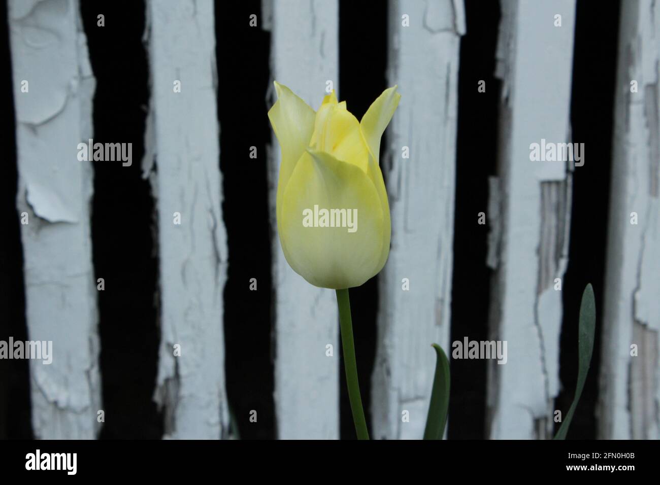 Peeling porch rails hi-res stock photography and images - Alamy