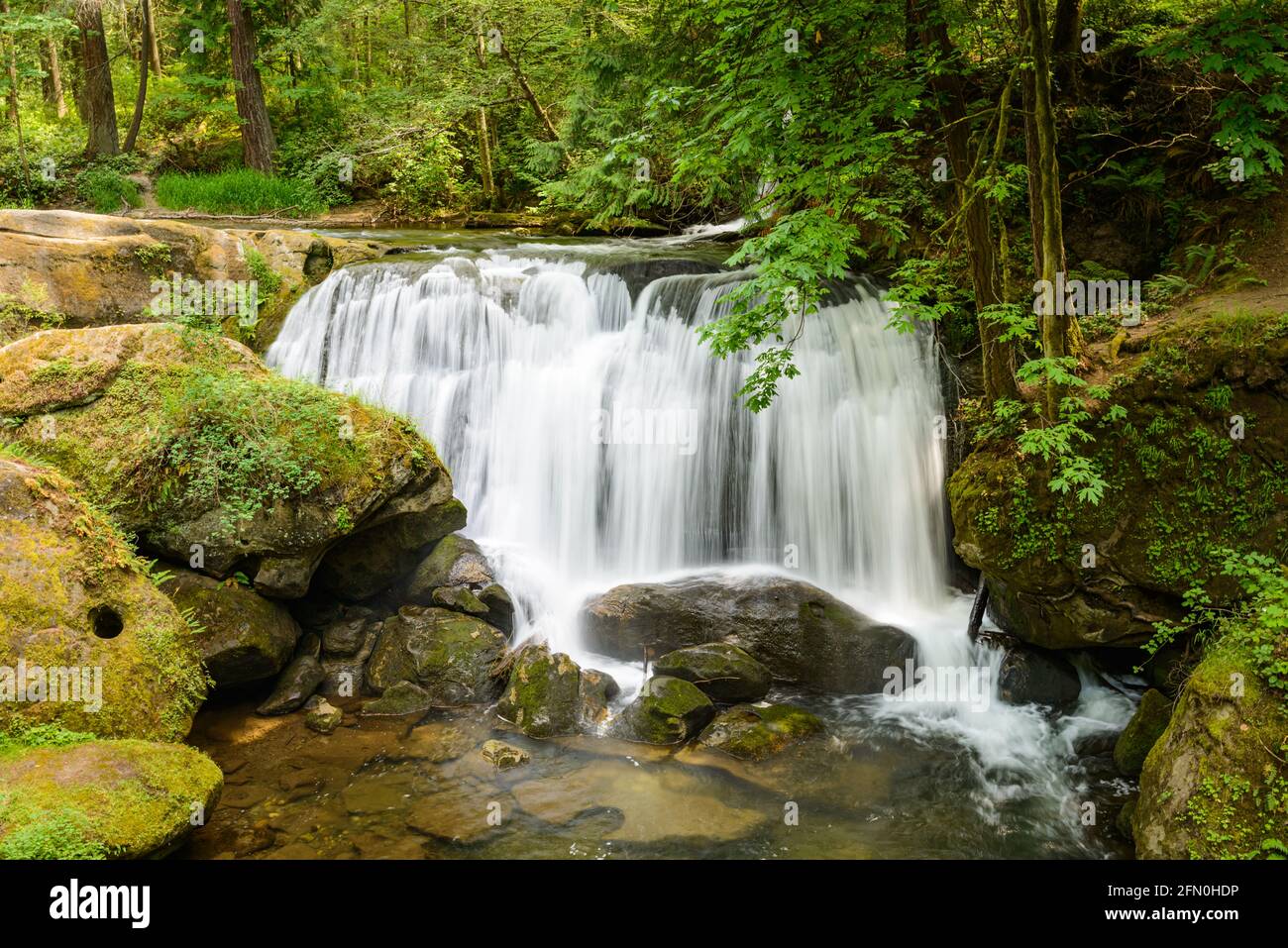 An urban waterfall in Bellingham Washington as Whatcom Falls flows in ...