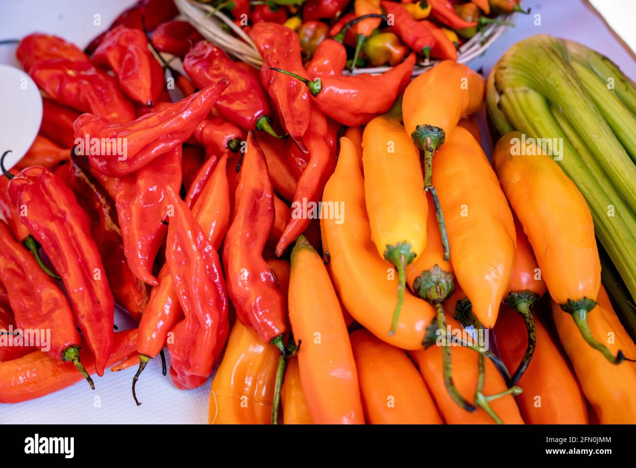 Chili peppers for sale at Belen market in Iquitos, Peru Stock Photo - Alamy