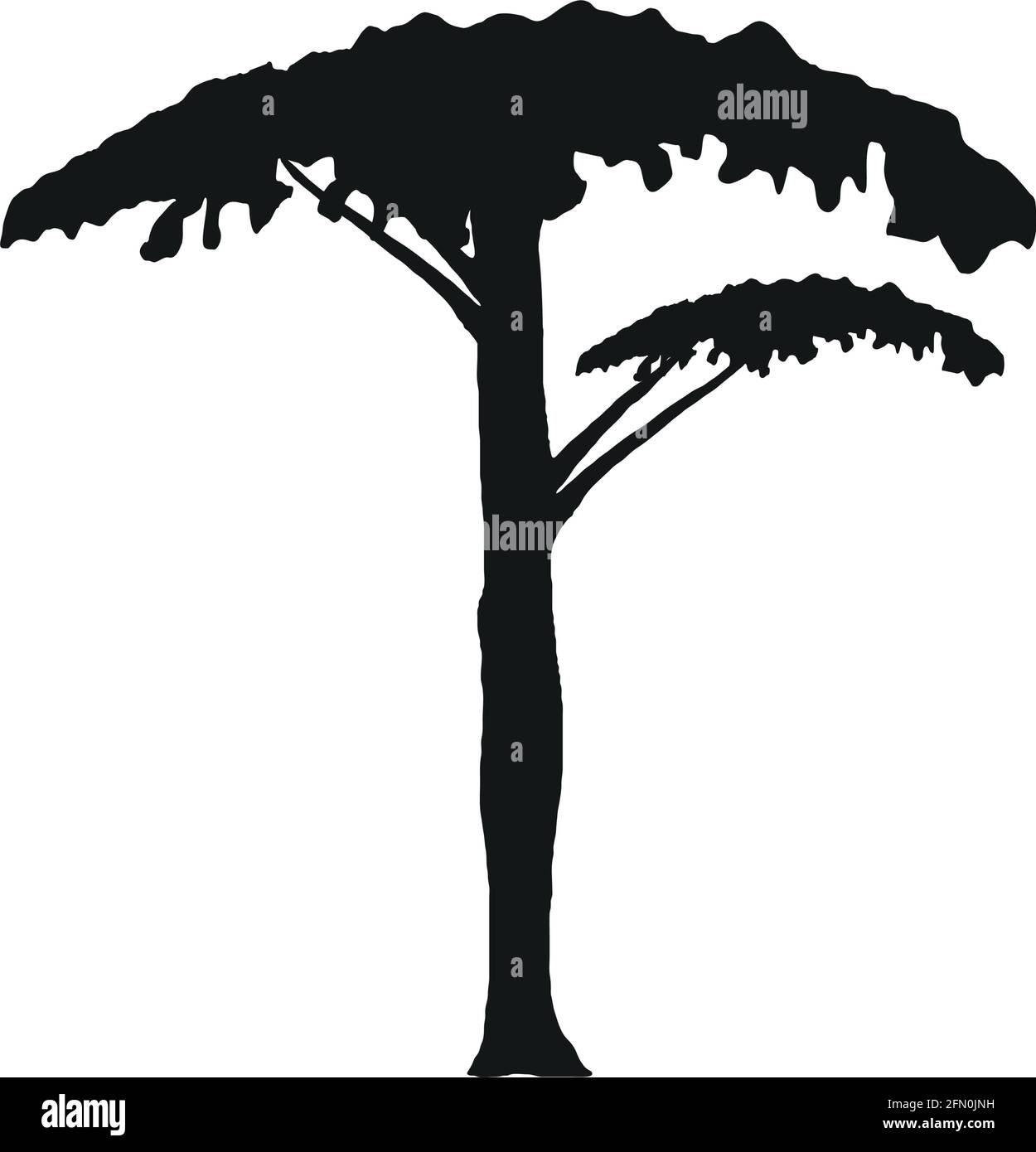 silhouette deciduous tree Stock Vector Image & Art - Alamy silhouette deciduous tree Stock Vector Image & Art - Alamy