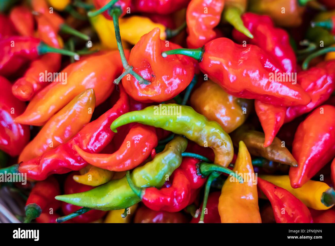 Chili peppers for sale at Belen market in Iquitos, Peru Stock Photo - Alamy