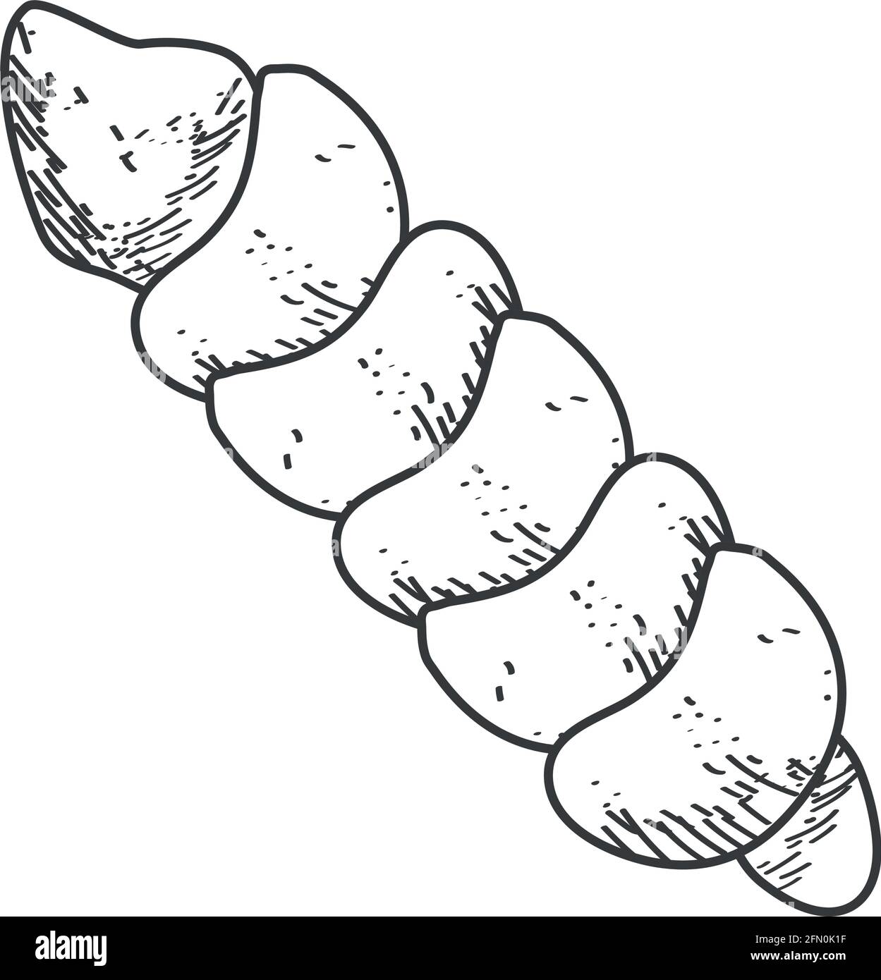 bread roll sketch Stock Vector Image & Art - Alamy