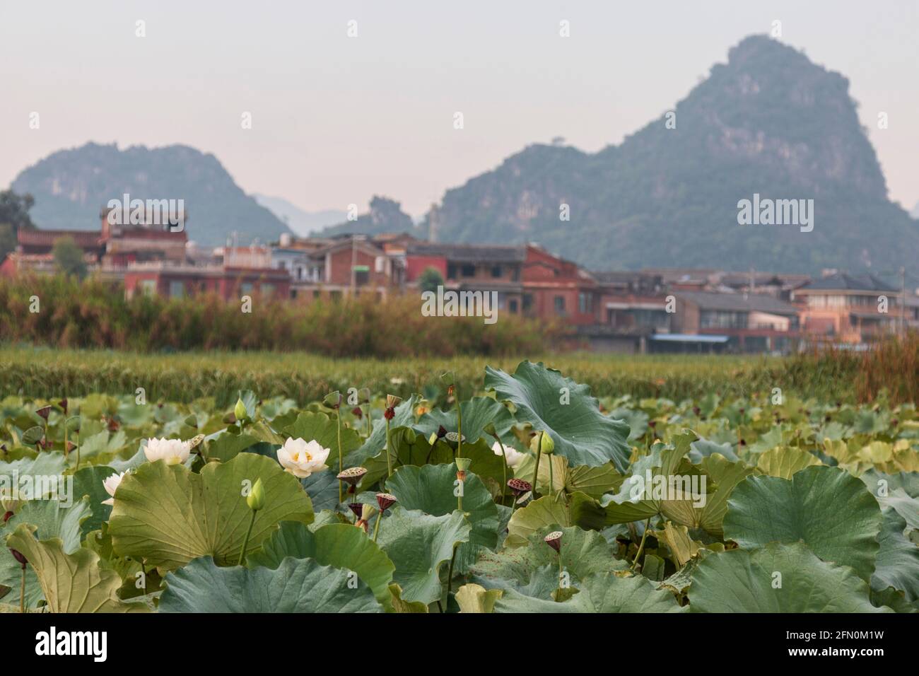 Aerial view of Puzhehei Scenic Area in Yunnan, China Stock Photo - Alamy