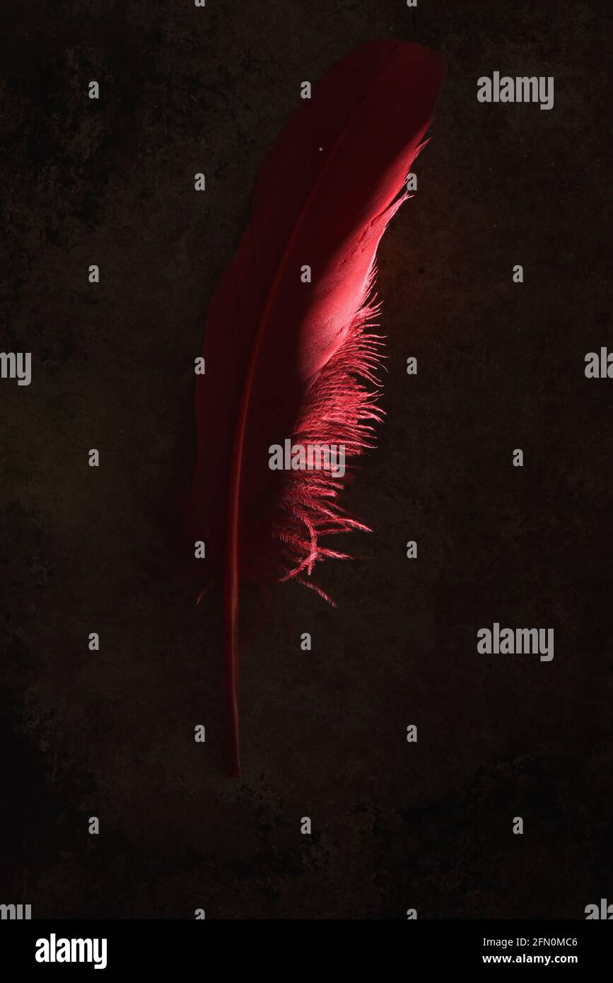 A still life studio vertical image on a tarnished metal background of a ...