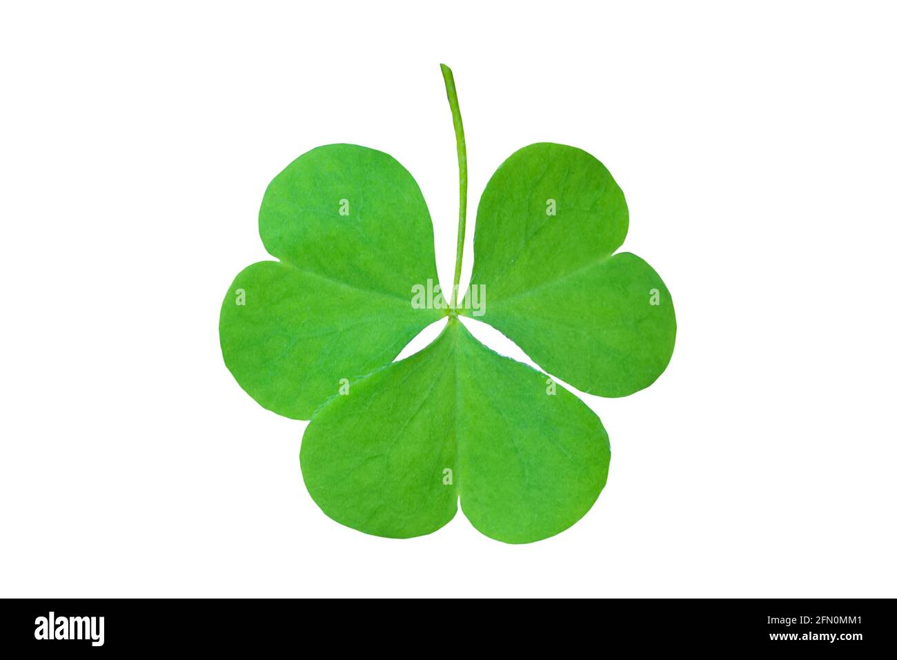 Sorreal hi-res stock photography and images - Alamy