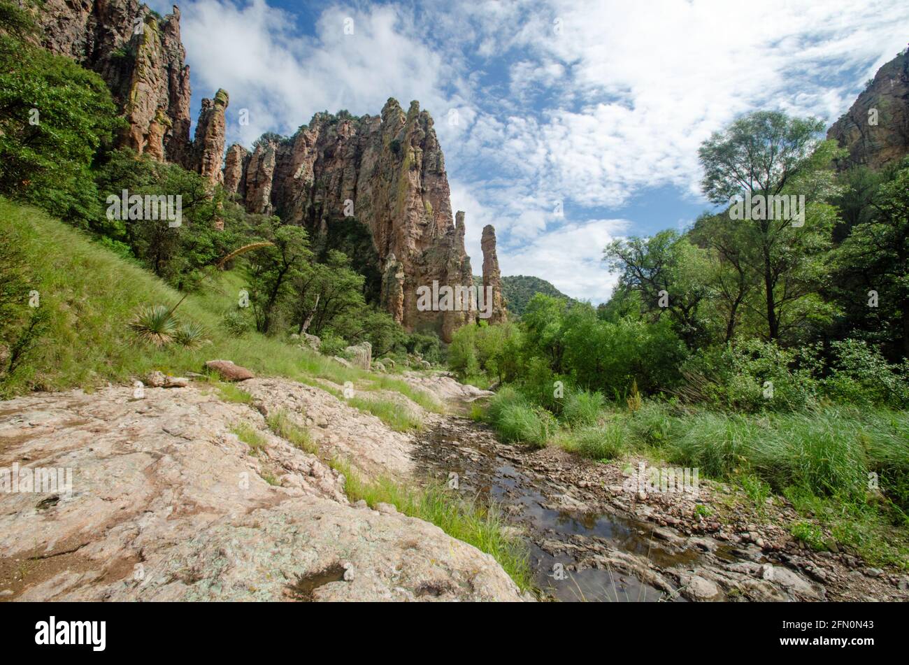 Sycamore Canyon in Southern Arizona Stock Photo - Alamy