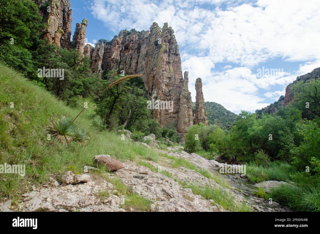 Sycamore Canyon in Southern Arizona Stock Photo - Alamy