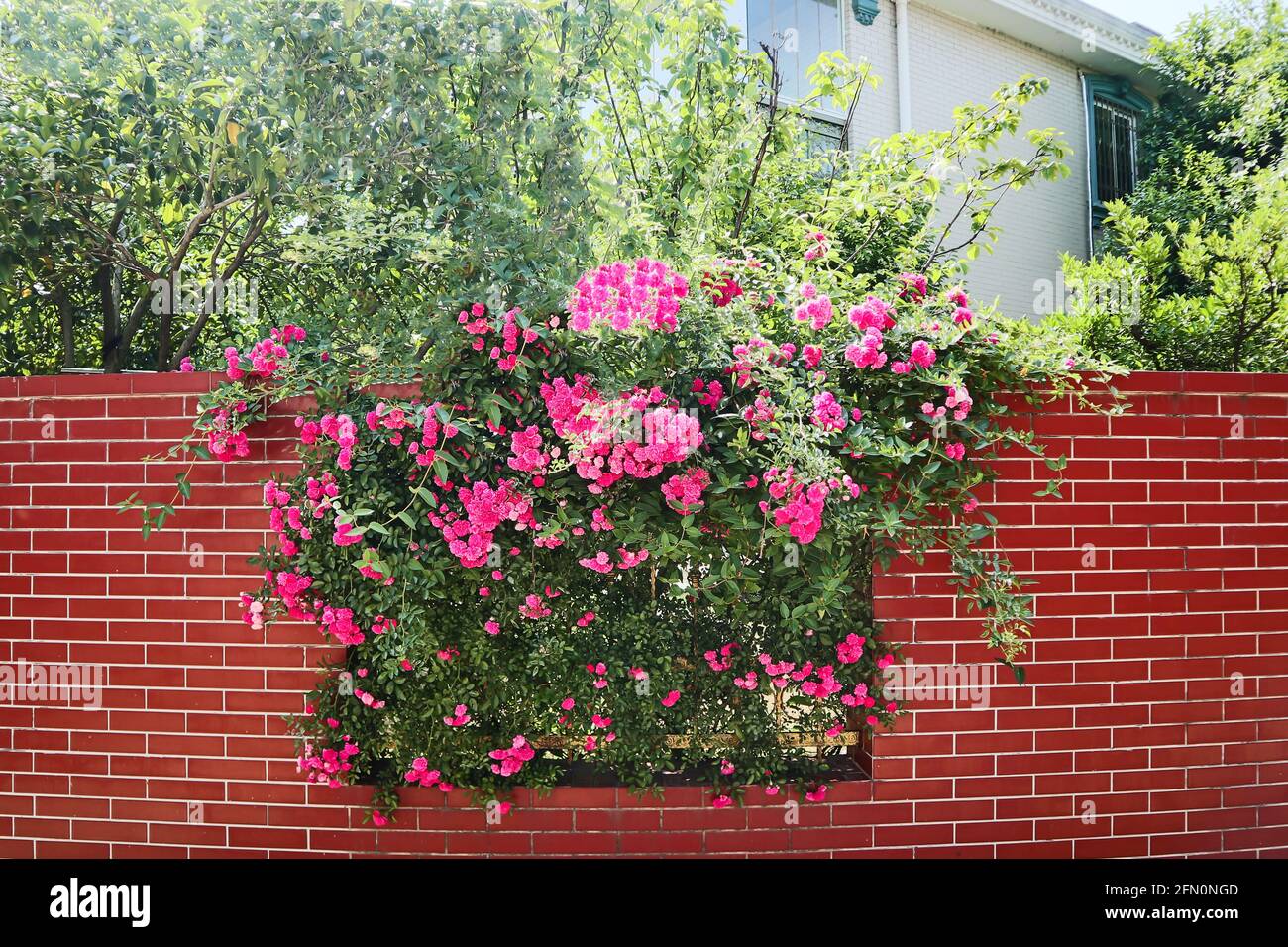 Floral villas hi-res stock photography and images - Alamy