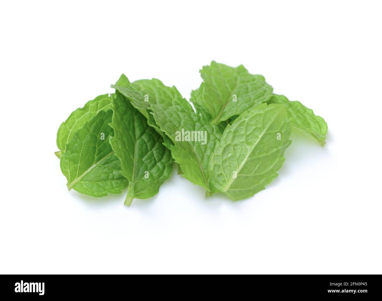 Fresh mint leaves pattern isolated on white background Stock Photo - Alamy