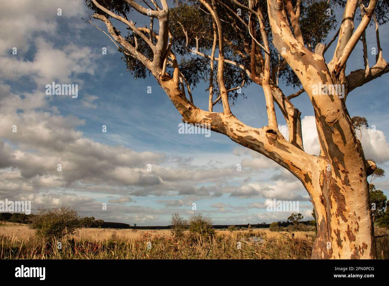 AUSSIE COUNTRY LIFESTYLE Stock Photo - Alamy
