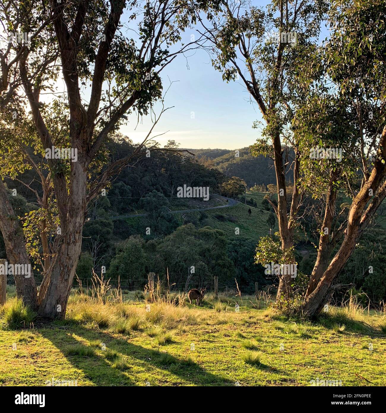 Small tress hi-res stock photography and images - Alamy