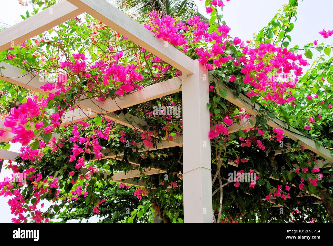 Hanging down from wood structure hi-res stock photography and images ...