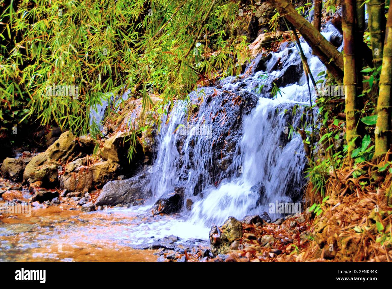 Water falling in tropical jungles hi-res stock photography and images ...