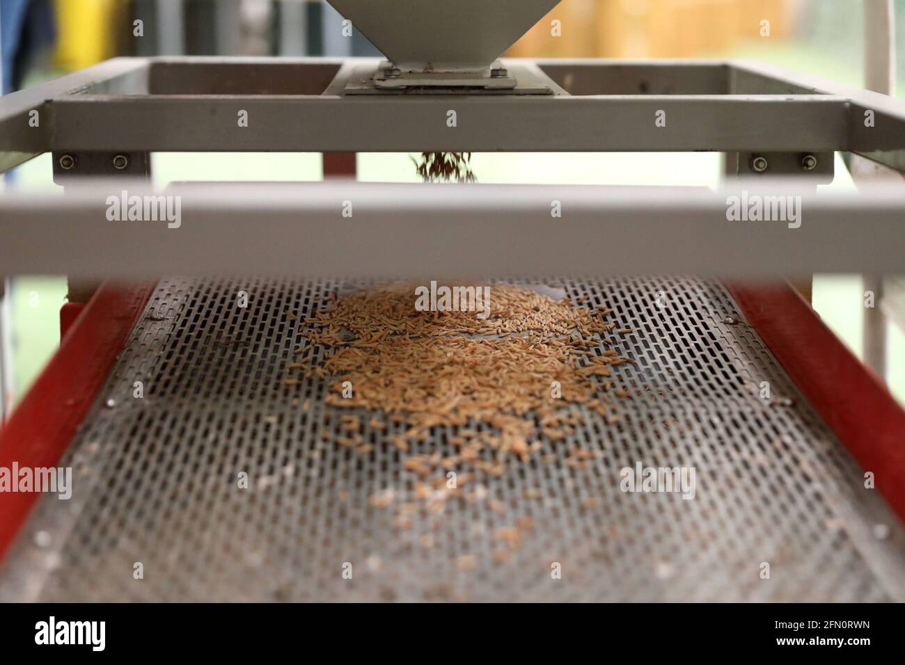 Process paddy into rice hi-res stock photography and images - Alamy
