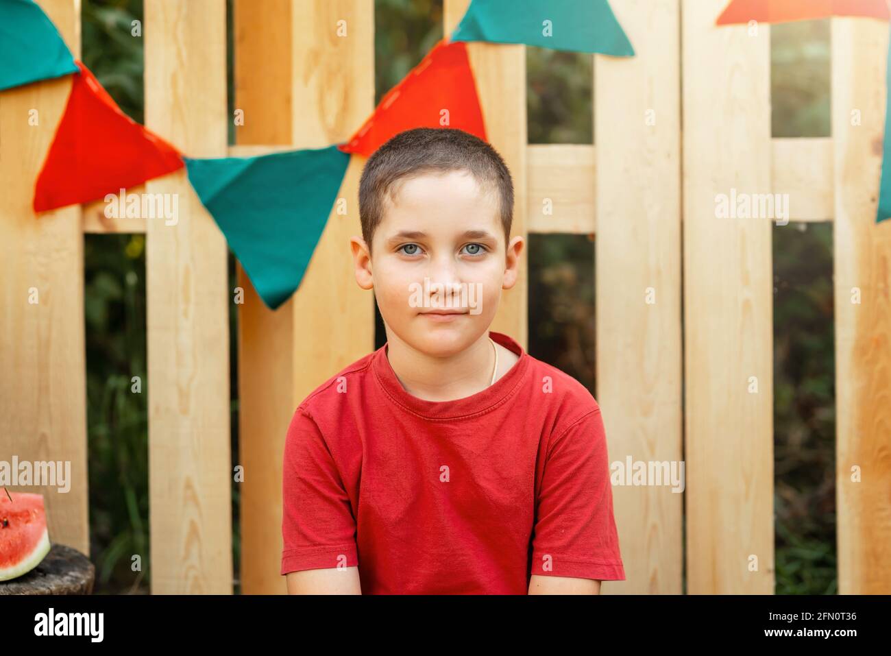 Summer portrait of happy kid boy. Portrait of child on summer nature ...