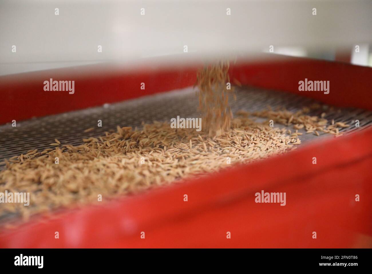 Production rice in factory hi-res stock photography and images - Alamy