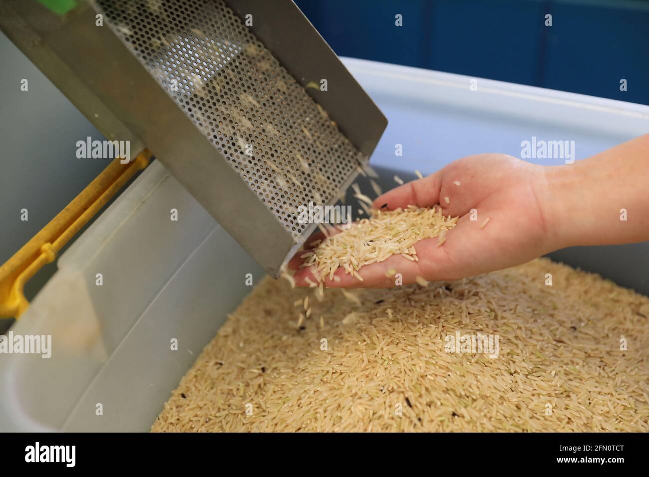 Factory machine Milling rice in close up Stock Photo - Alamy