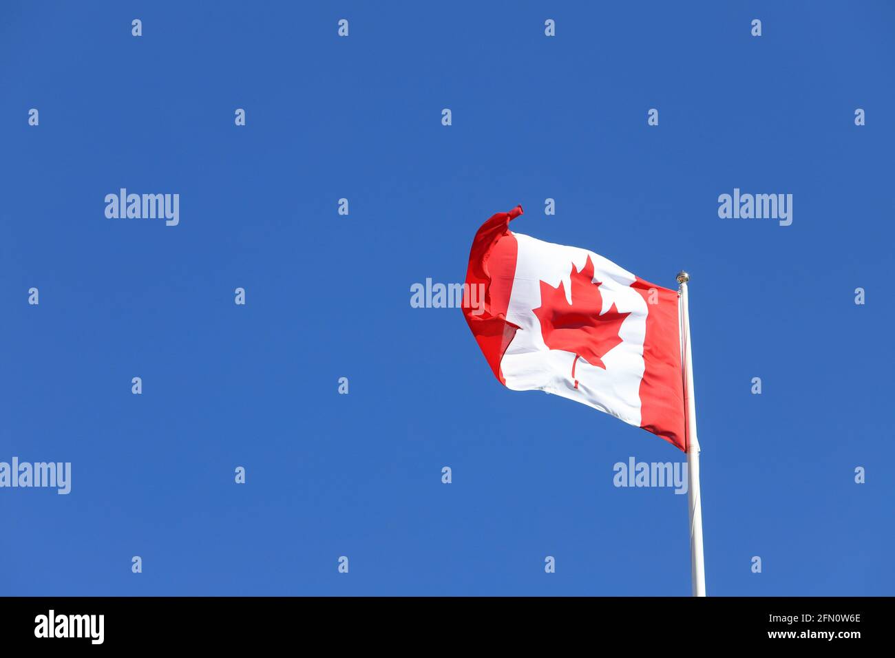 The national flag of Canada agains clear blue sky Stock Photo - Alamy
