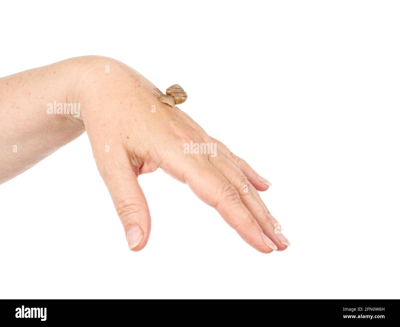 Hand rejuvenation hi-res stock photography and images - Alamy