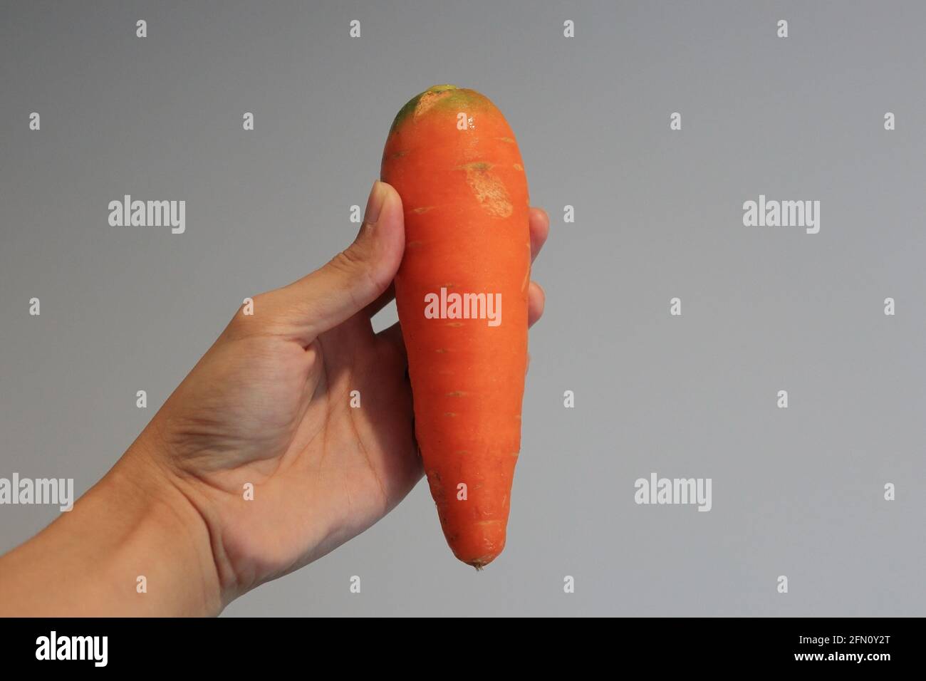 carrot in hand Stock Photo - Alamy