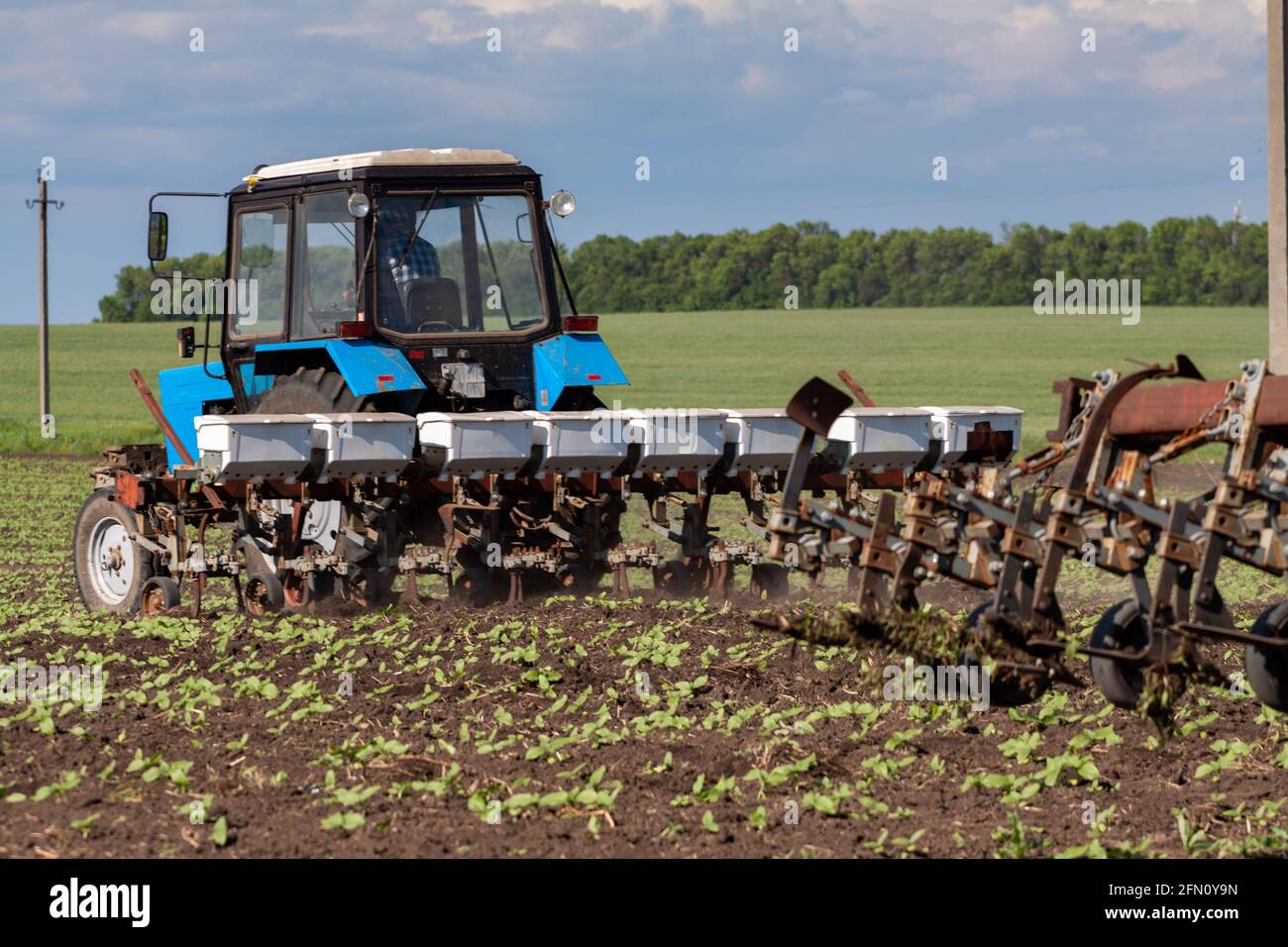 field work in agriculture. farmer's tractor harrows the field after ...