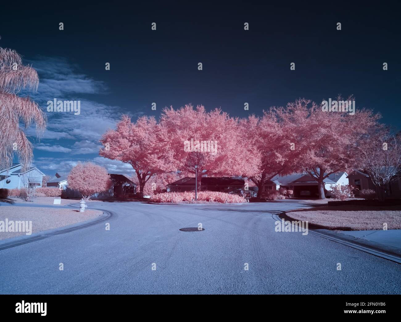 590nm infrared hi-res stock photography and images - Alamy