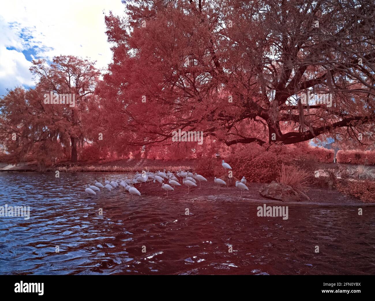 590nm infrared hi-res stock photography and images - Alamy