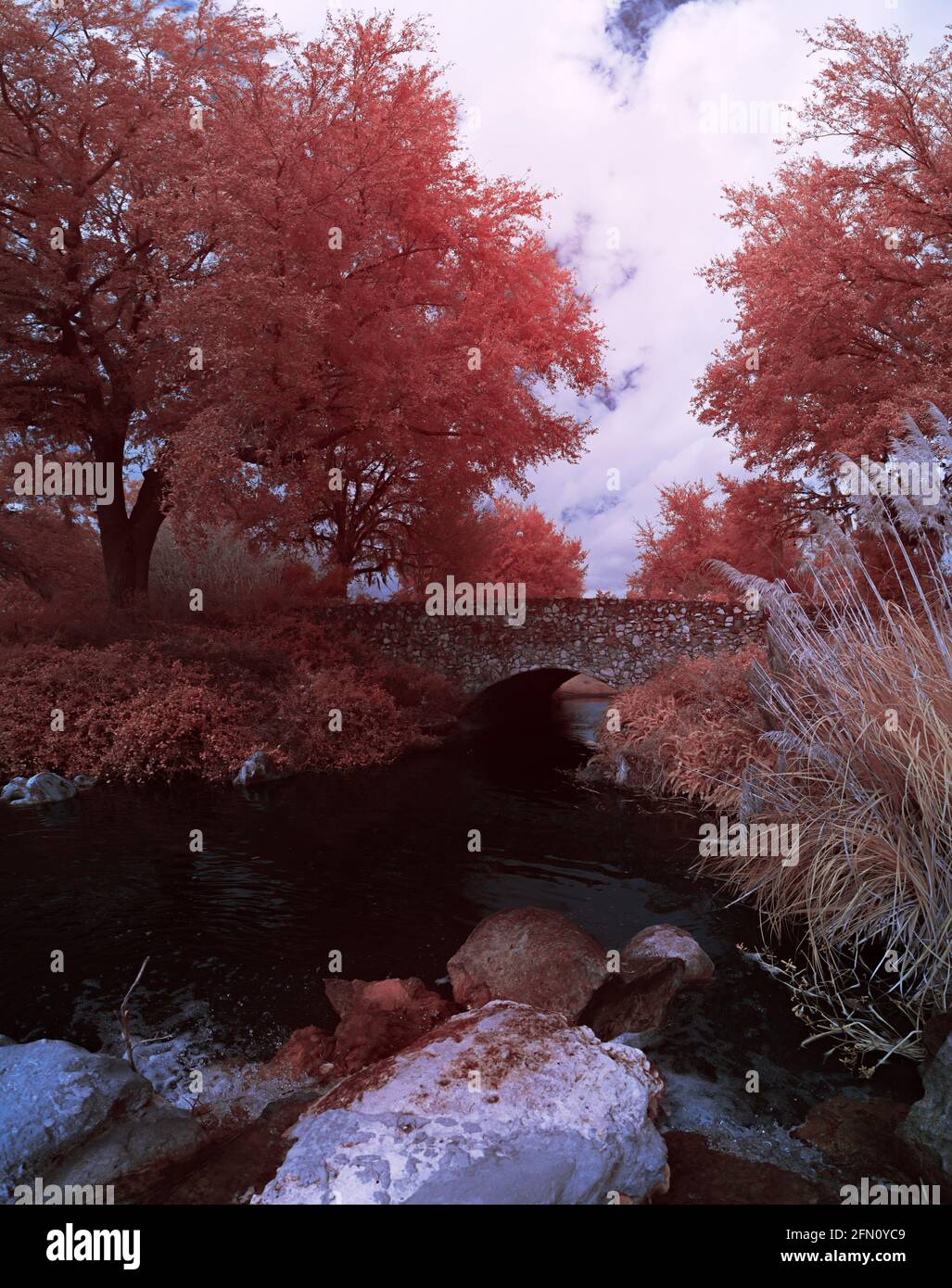 590nm hi-res stock photography and images - Alamy