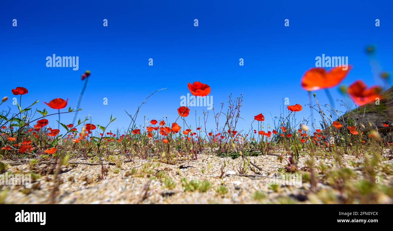 Bulgaria beach hi-res stock photography and images - Alamy