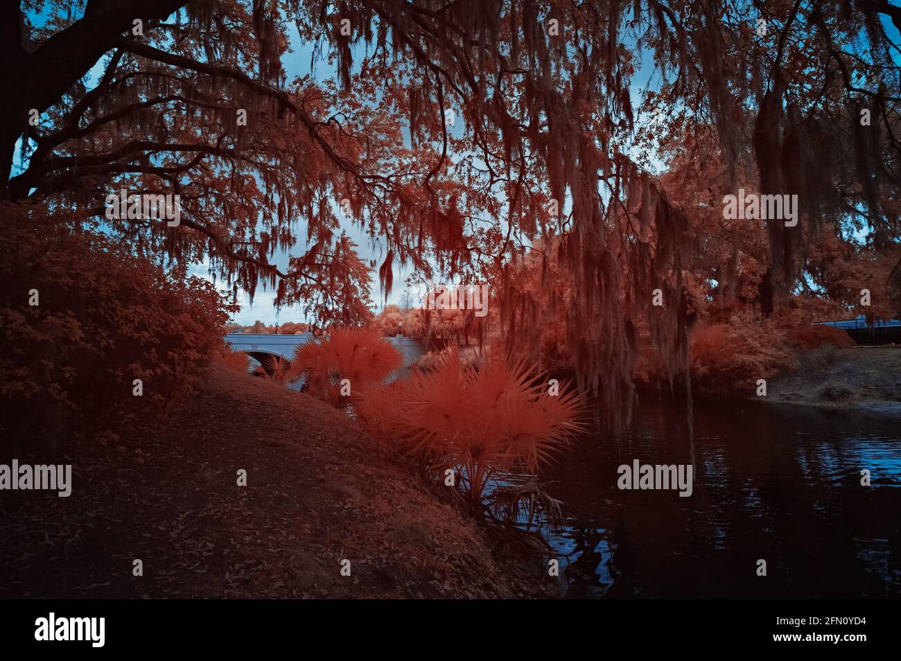 590nm infrared hi-res stock photography and images - Alamy
