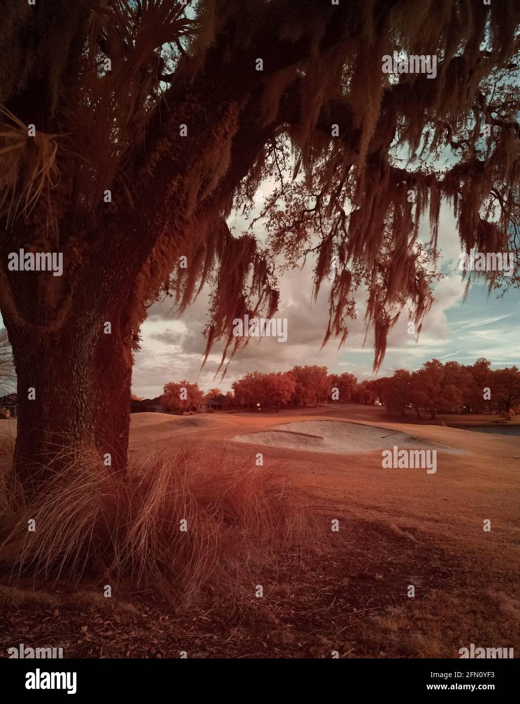 Infrared 590nm hi-res stock photography and images - Alamy